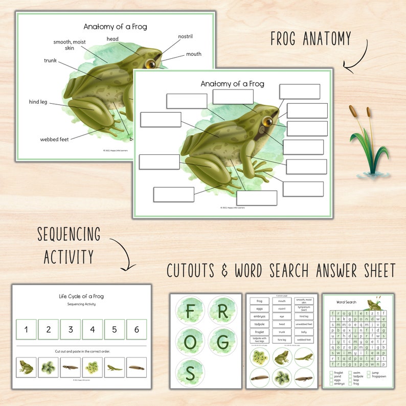 Frog Unit Study Bundle, Frog Life Cycle & Anatomy, Charlotte Mason ...
