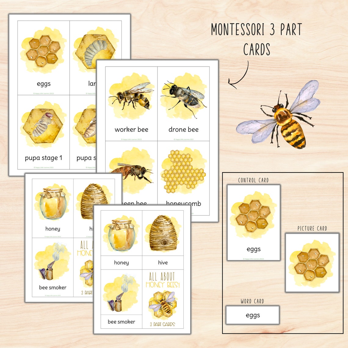 Honey Bee Unit Study Bundle, Bee Life Cycle & Anatomy, Charlotte Mason ...