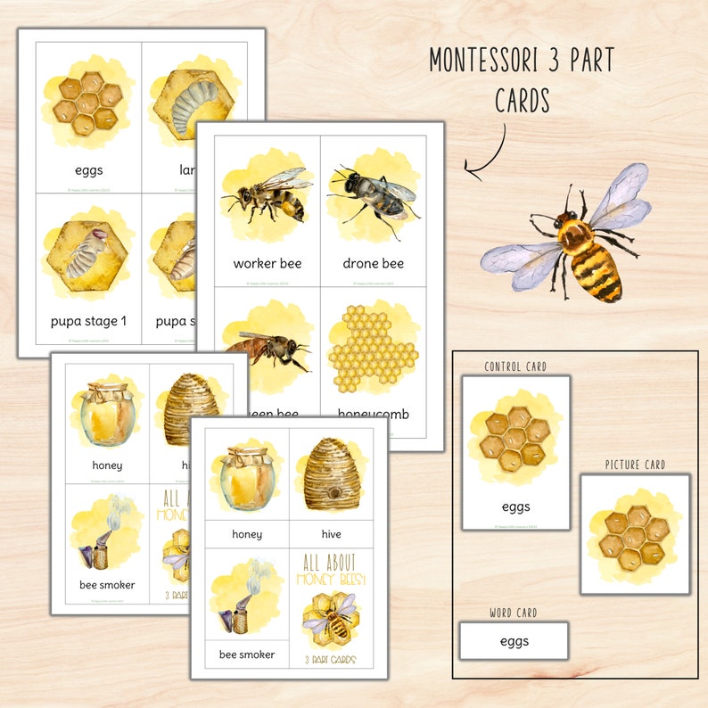 Honey Bee Unit Study Bundle, Bee Life Cycle & Anatomy, Charlotte Mason ...