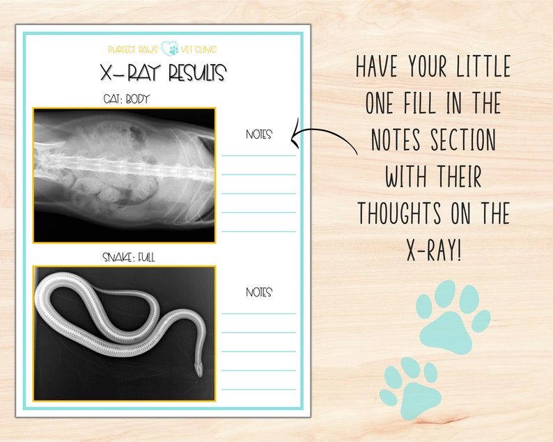 Vet Clinic Dramatic Play, Pretend Play Printable, Pet Play, Animal X ...