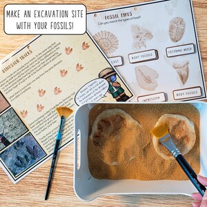 Dinosaur Busy Book Printable, Toddler Dino Quiet Book, Montessori ...