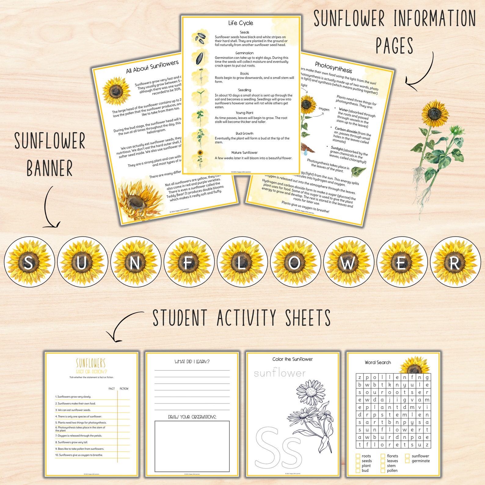 Sunflower Unit Study Bundle, Sunflower Life Cycle & Anatomy, Charlotte ...