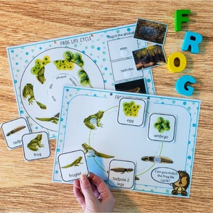 Toddler Activity Binder, Preschool Busy Book, Homeschool Learning ...