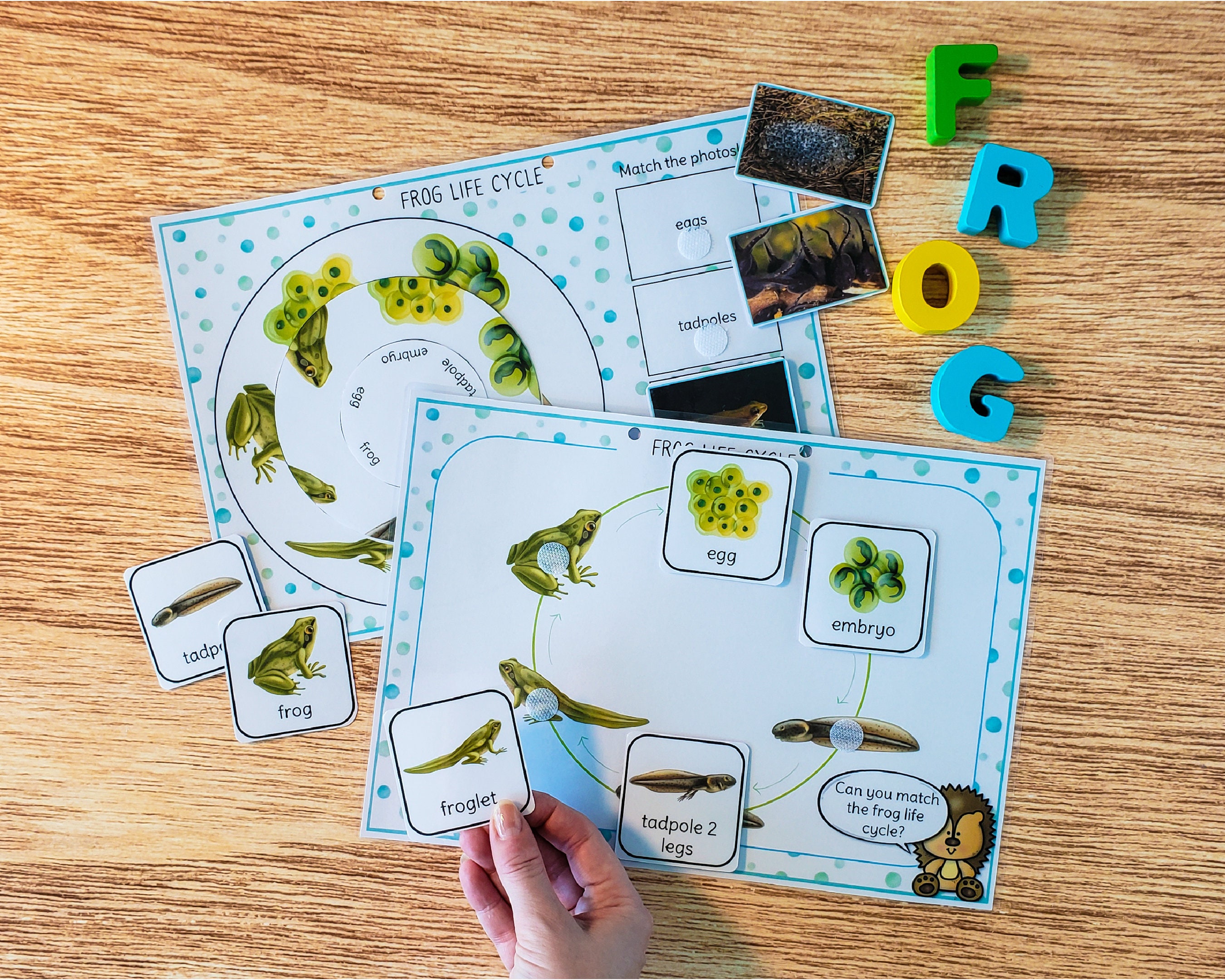 Toddler Activity Binder, Preschool Busy Book, Homeschool Learning ...