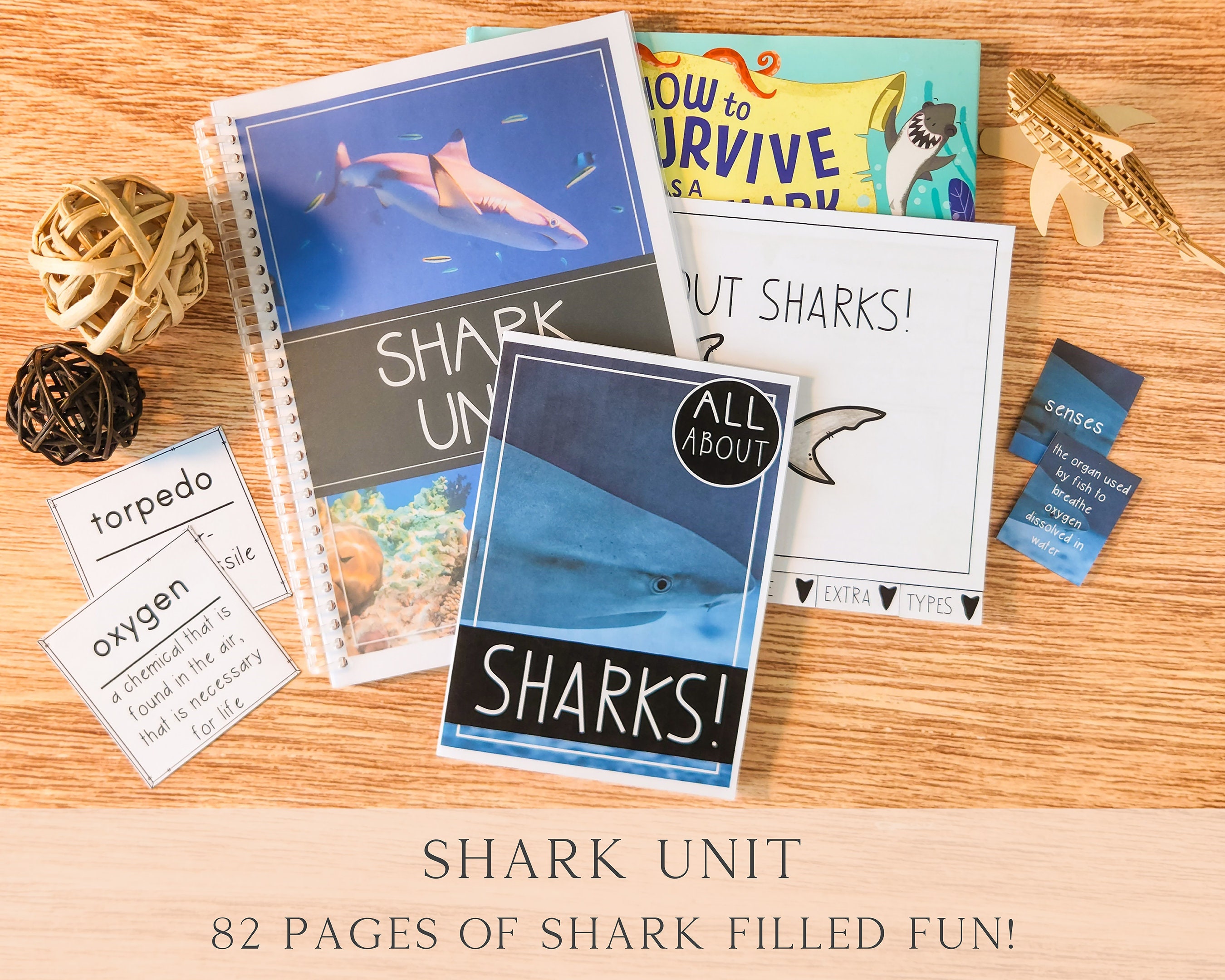 Printable Shark Unit, Shark Nature Study Pack, Learning About Sharks ...