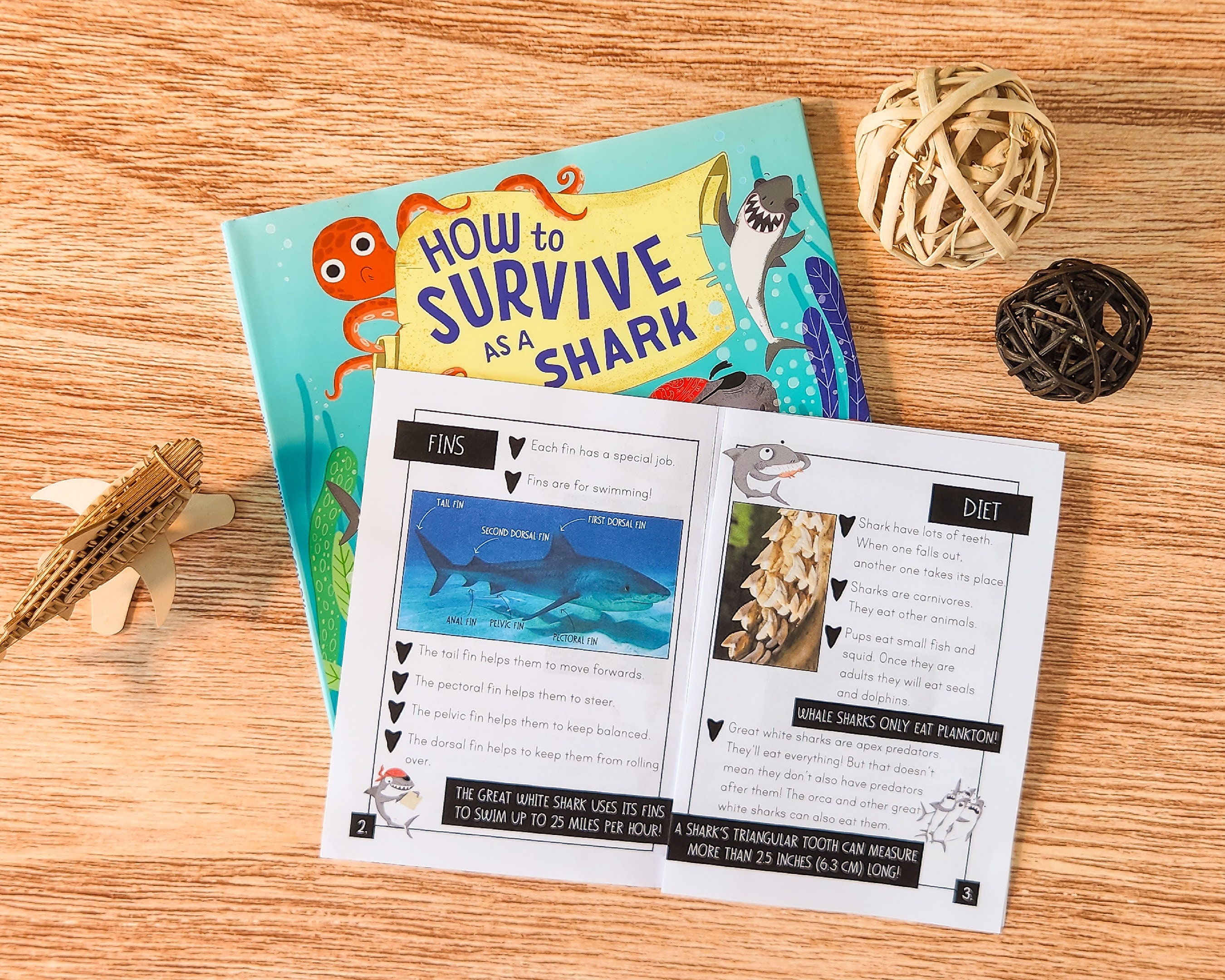 Printable Shark Unit, Shark Nature Study Pack, Learning About Sharks ...