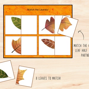 Fall Matching Leaves Activity, Autumn Leaf Matching, Toddler Learning ...