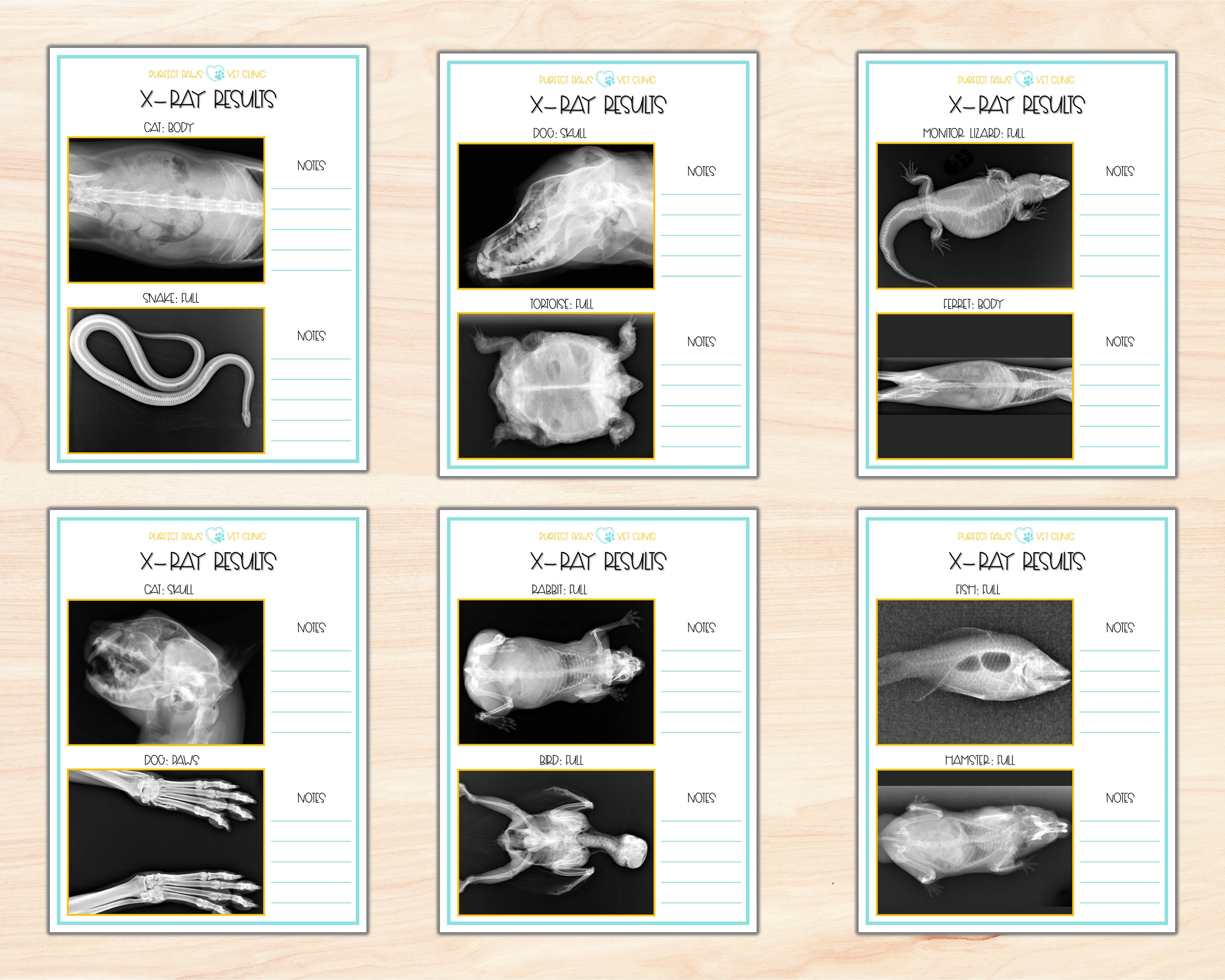 Vet Clinic Dramatic Play, Pretend Play Printable, Pet Play, Animal X ...