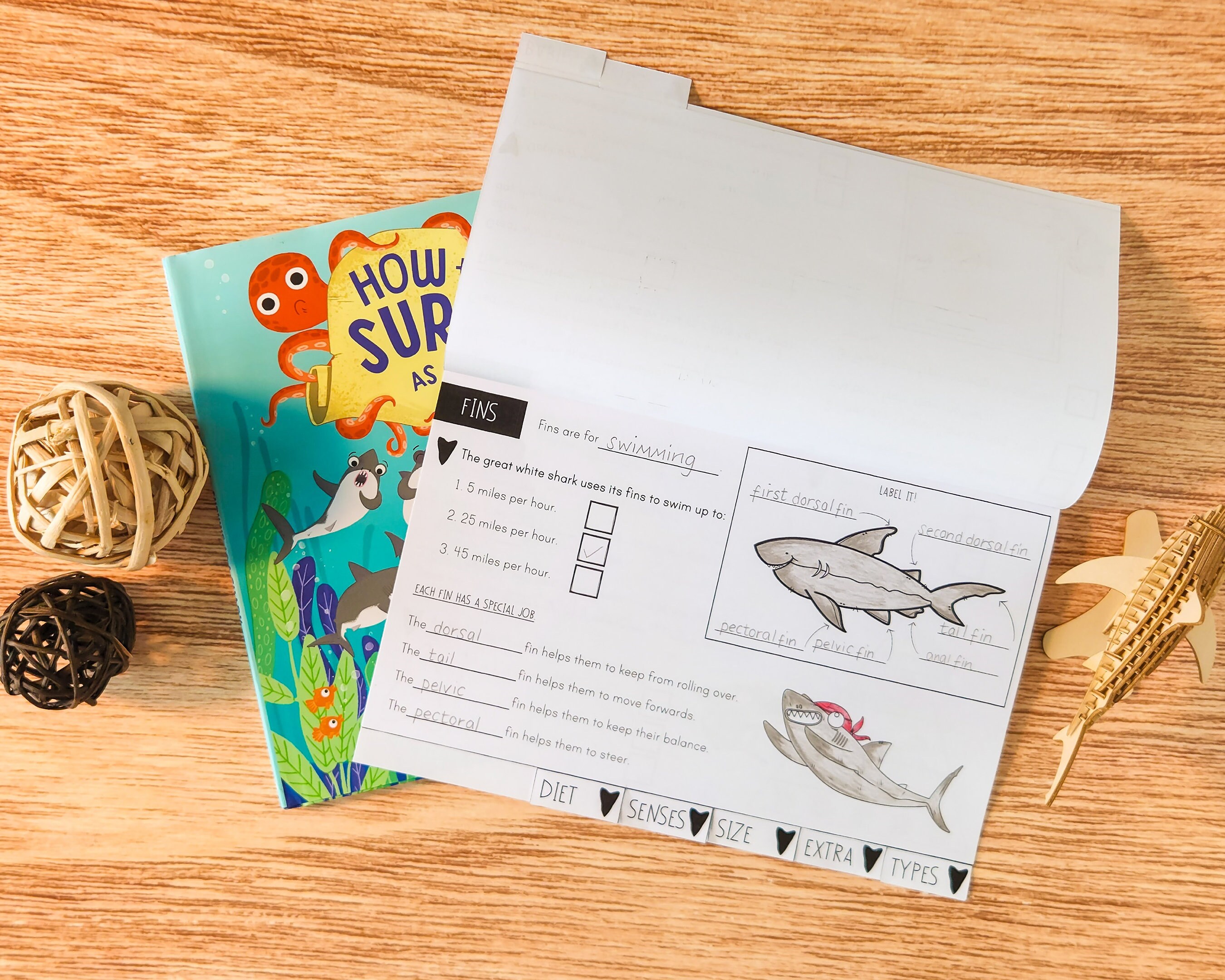 Printable Shark Unit, Shark Nature Study Pack, Learning About Sharks ...