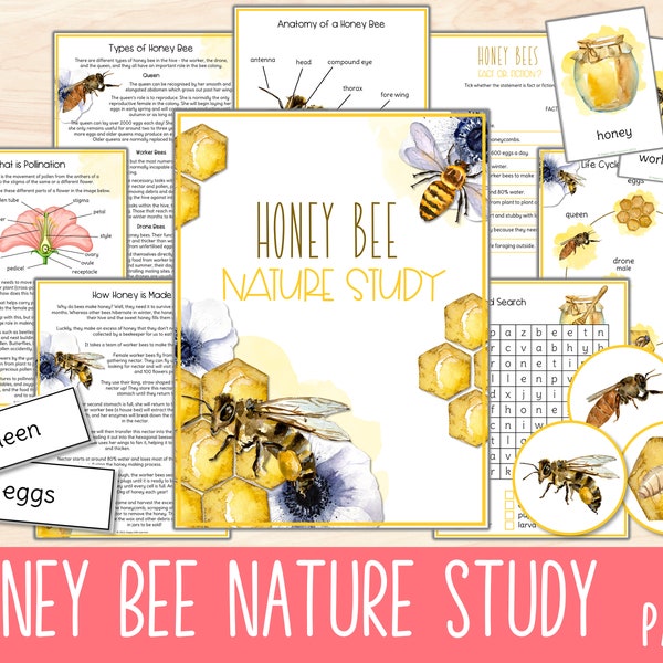 Honey Bee Unit - Etsy