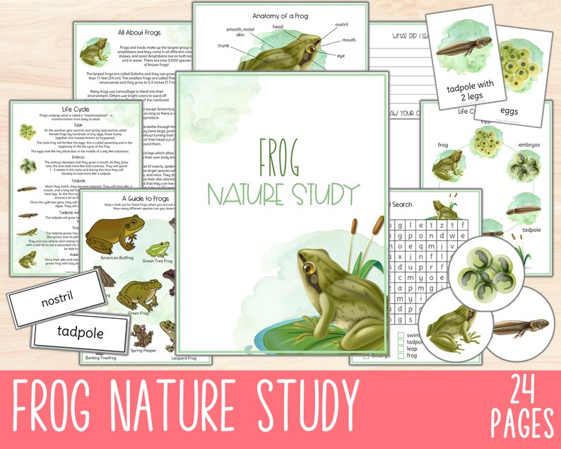 Frog Unit Study Bundle Frog Life Cycle & Anatomy Charlotte - Etsy