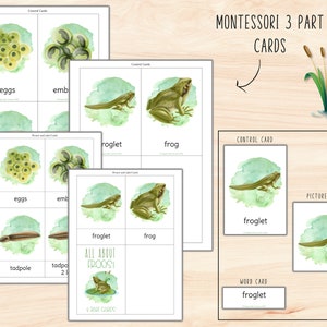 Frog Life Cycle Unit, Charlotte Mason Nature Study Printables, Science ...