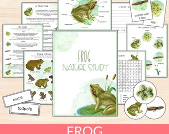 Honey Bee Unit Study Bundle, Bee Life Cycle & Anatomy, Charlotte Mason ...