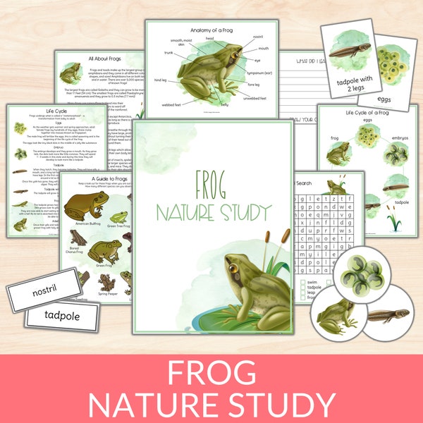 Frog Life Cycle - Etsy