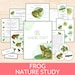 Frog Unit Study Bundle, Frog Life Cycle & Anatomy, Charlotte Mason ...