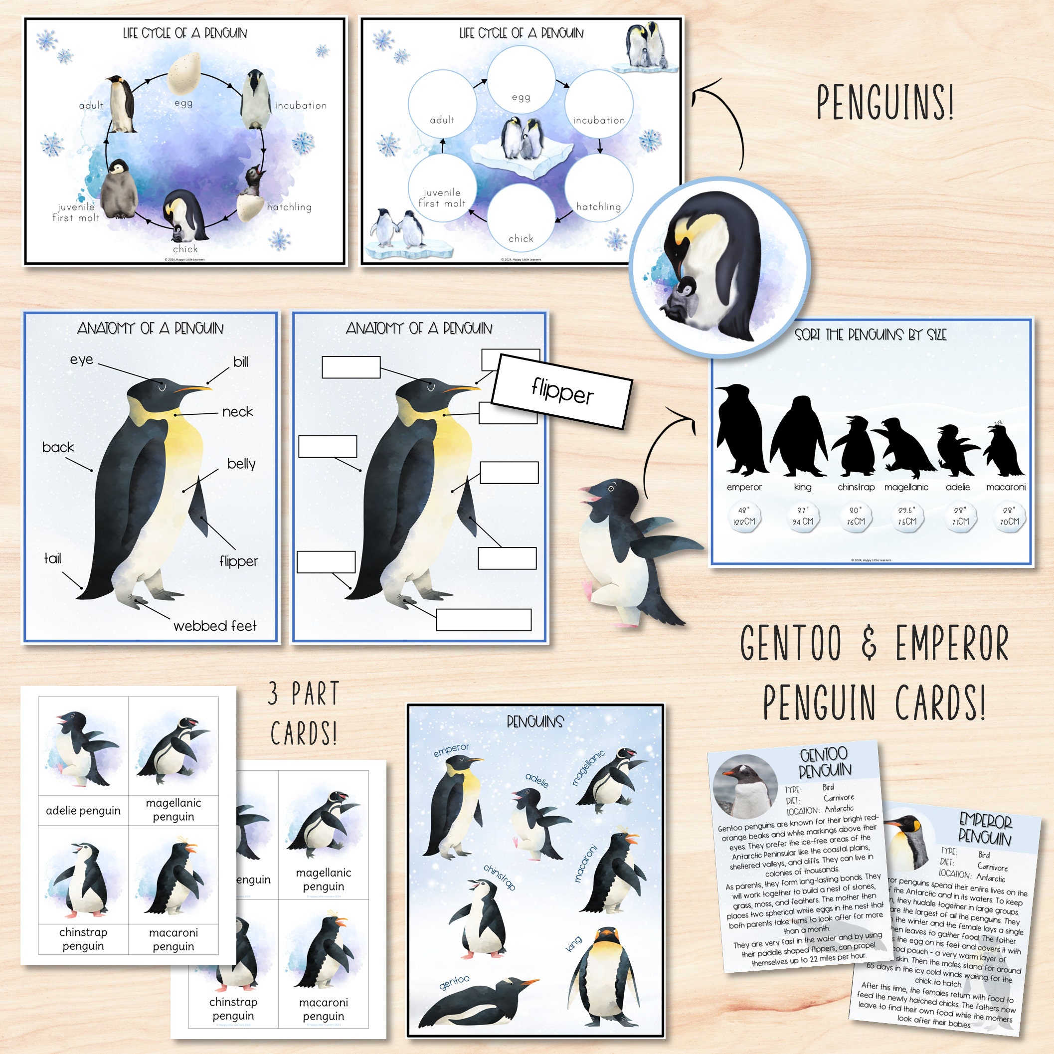 Polar Animal Learning Pack, Arctic Animals Unit Study, Winter Penguin ...