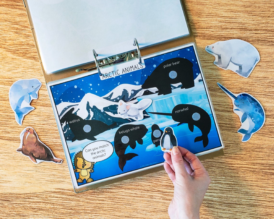 Toddler Activity Binder, Preschool Busy Book, Homeschool Learning ...