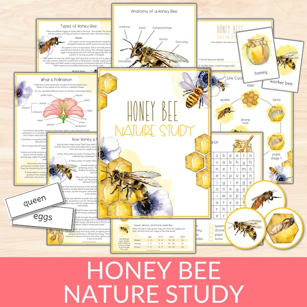 Honey Bee Unit - Etsy