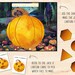 Halloween Shapes Jack O' Lantern Printable Toddler Activity, Halloween ...