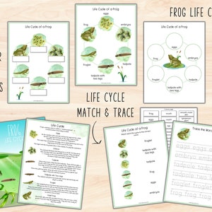 Frog Life Cycle Unit, Charlotte Mason Nature Study Printables, Science ...