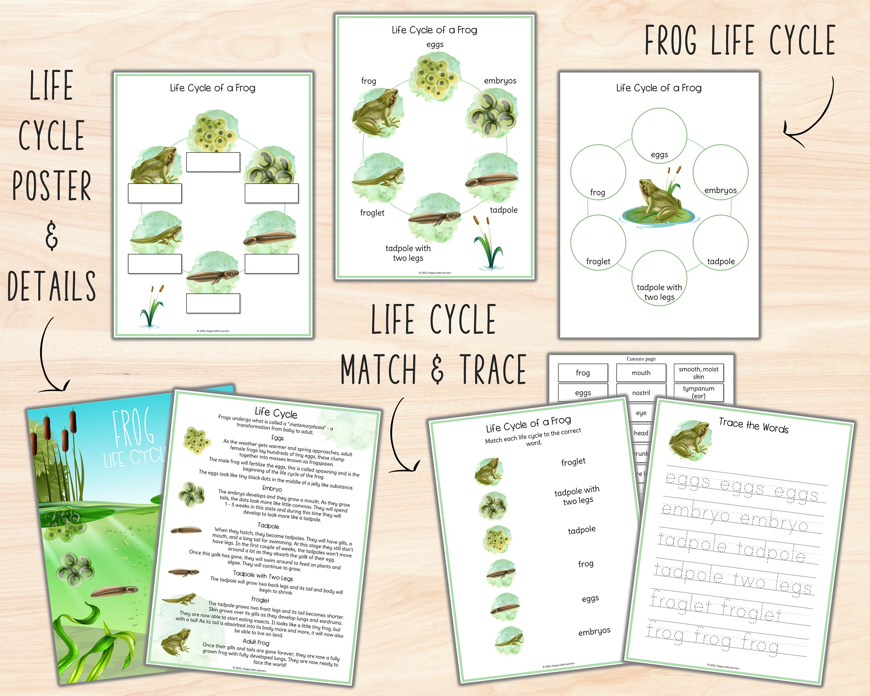 Frog Life Cycle Unit, Charlotte Mason Nature Study Printables, Science ...