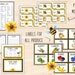 Farmer's Market Dramatic Play, Pretend Play Printable, Farmer's Market ...