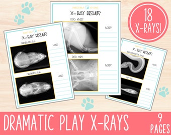 Vet Clinic Dramatic Play, Pretend Play Printable, Pet Play, Animal X ...
