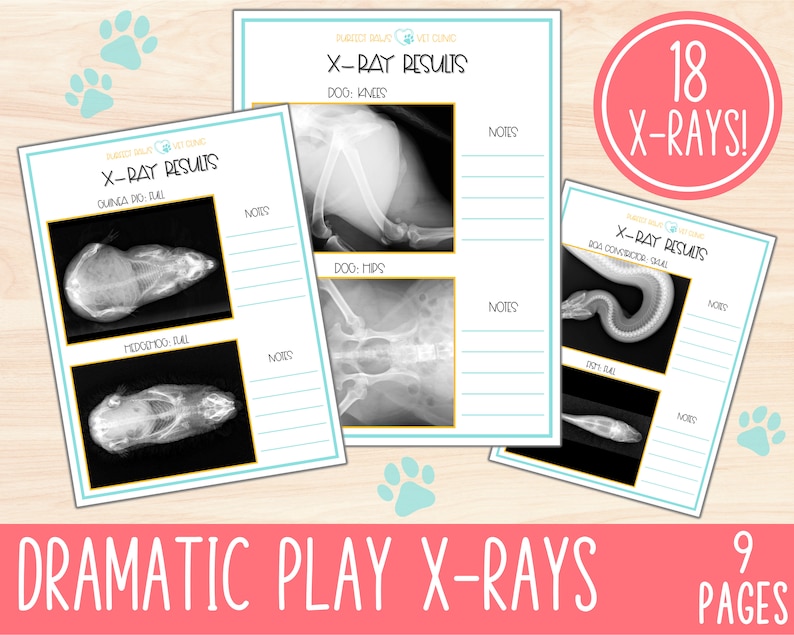 Vet Clinic Dramatic Play, Pretend Play Printable, Pet Play, Animal X ...