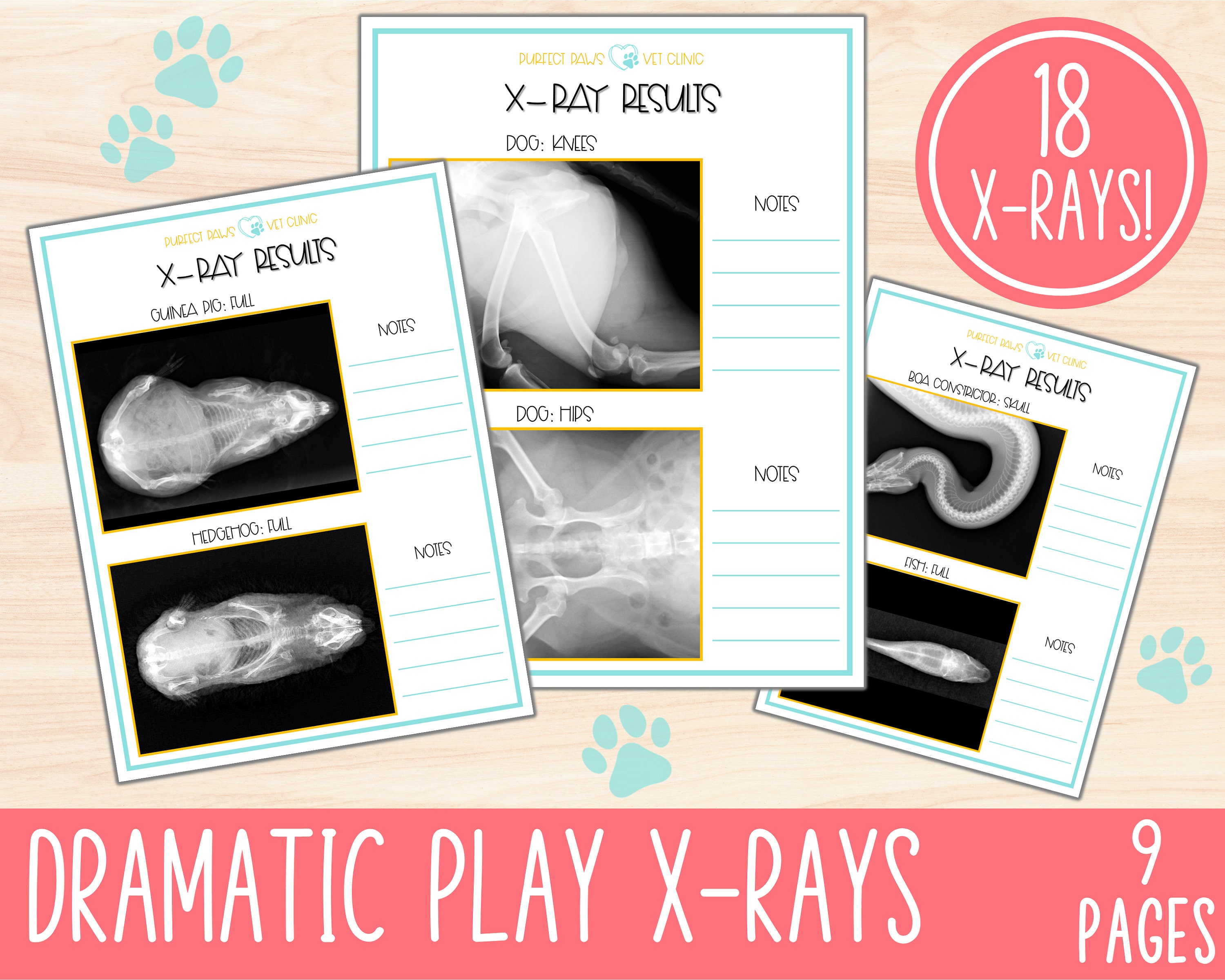 Vet Clinic Dramatic Play, Pretend Play Printable, Pet Play, Animal X ...