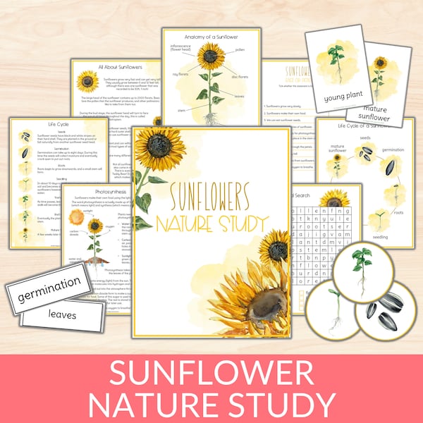 Frog Unit Study Bundle, Frog Life Cycle & Anatomy, Charlotte Mason ...