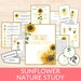 Sunflower Unit Study Bundle, Sunflower Life Cycle & Anatomy, Charlotte ...