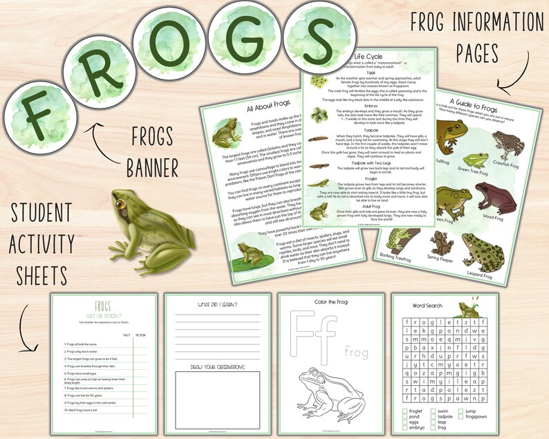 Frog Unit Study Bundle Frog Life Cycle & Anatomy Charlotte - Etsy