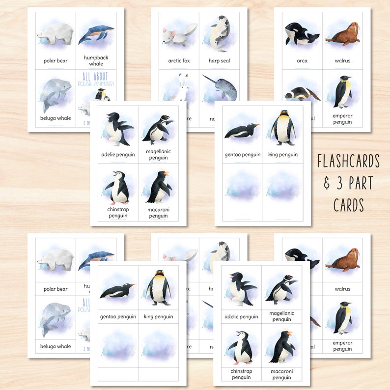 Polar Animal Learning Pack, Arctic Animals Unit Study, Winter Penguin ...