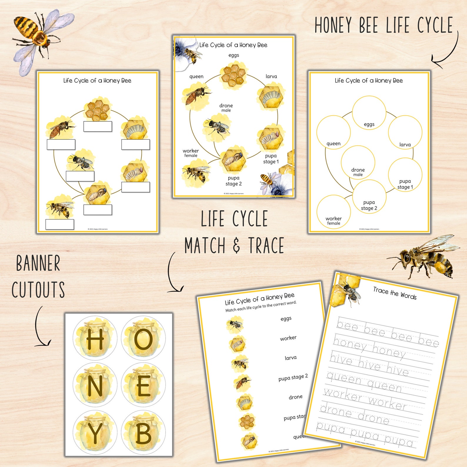 Honey Bee Unit Study Bundle, Bee Life Cycle & Anatomy, Charlotte Mason ...