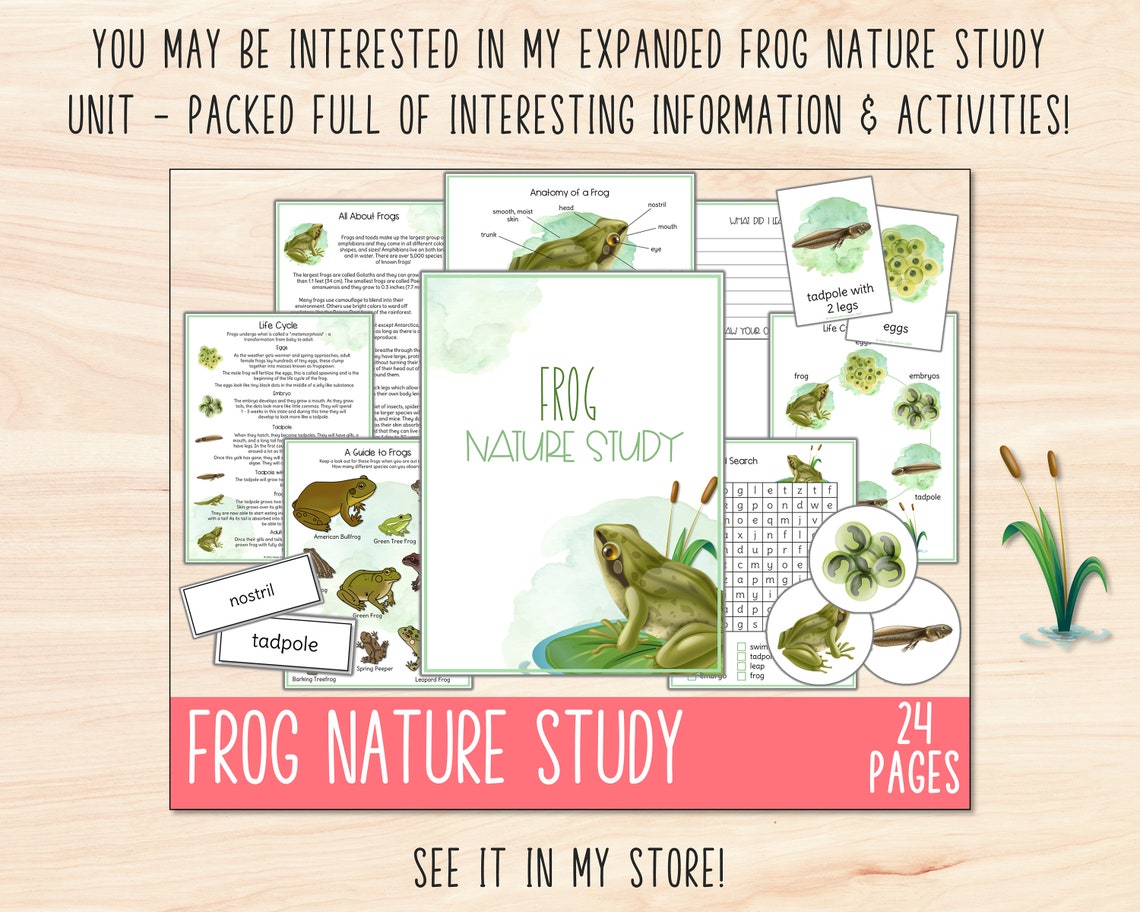 Frog Life Cycle Unit, Charlotte Mason Nature Study Printables, Science ...
