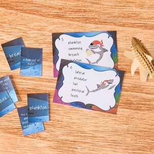 Printable Shark Unit, Shark Nature Study Pack, Learning About Sharks ...