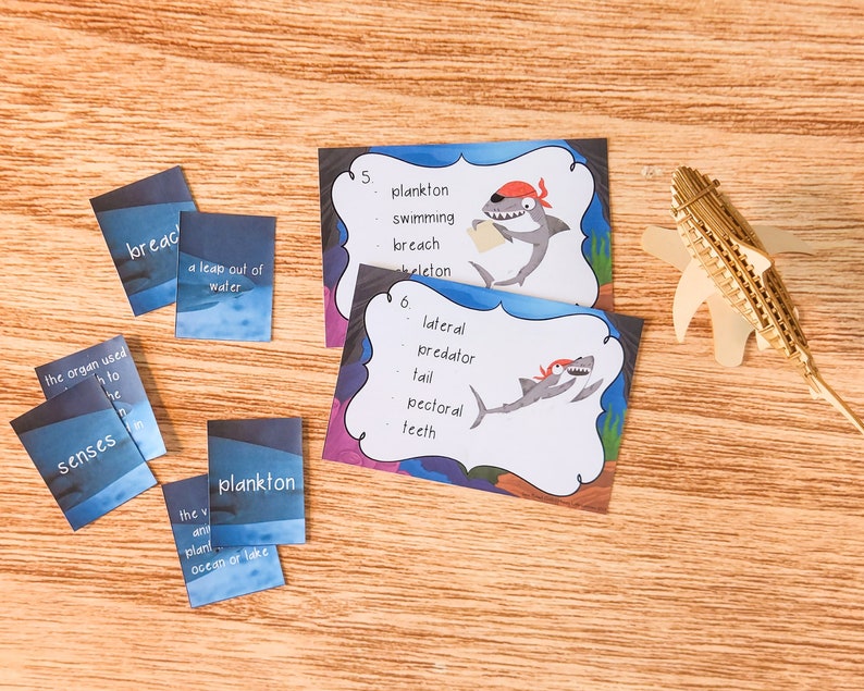 Printable Shark Unit, Shark Nature Study Pack, Learning About Sharks ...