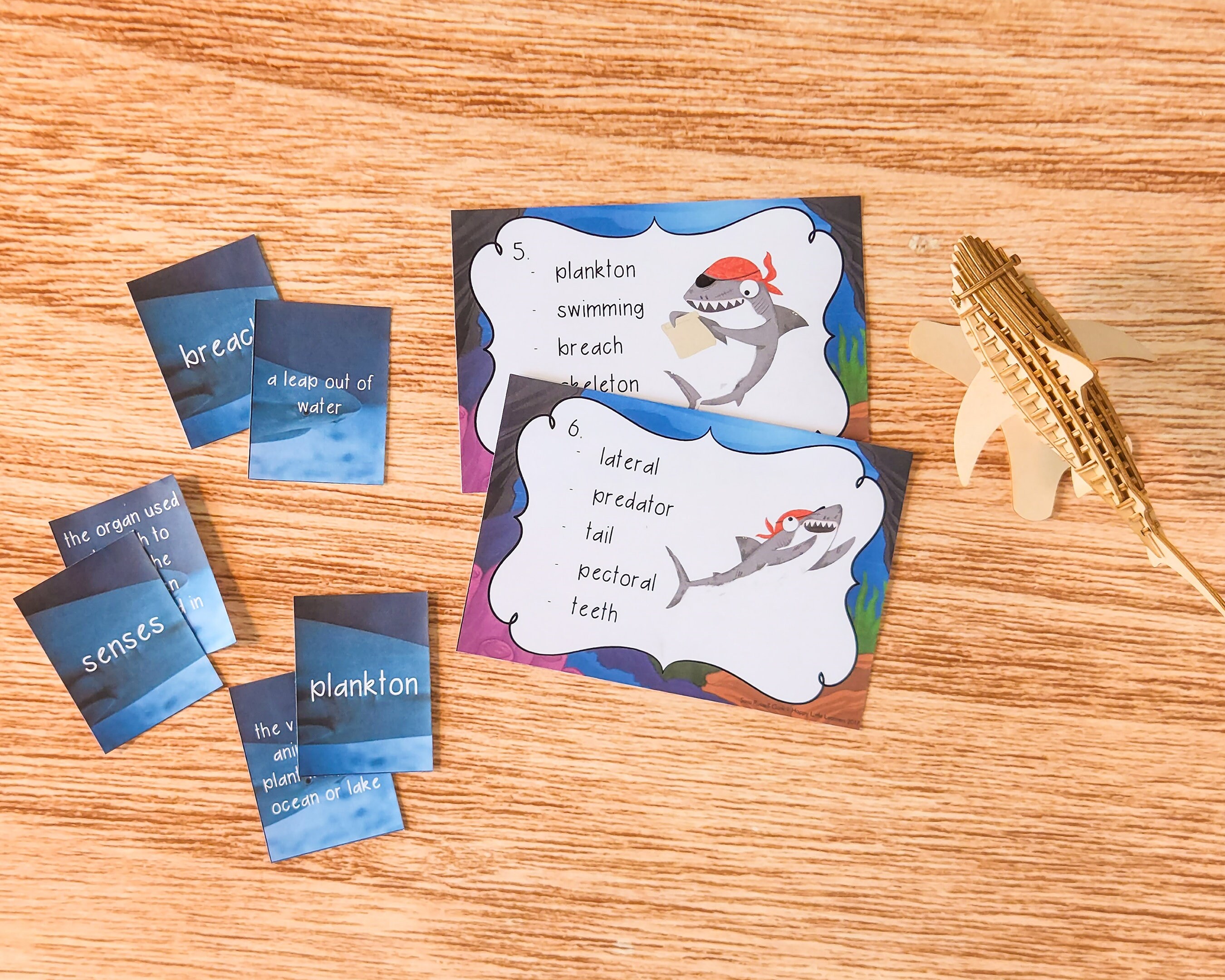 Printable Shark Unit, Shark Nature Study Pack, Learning About Sharks ...