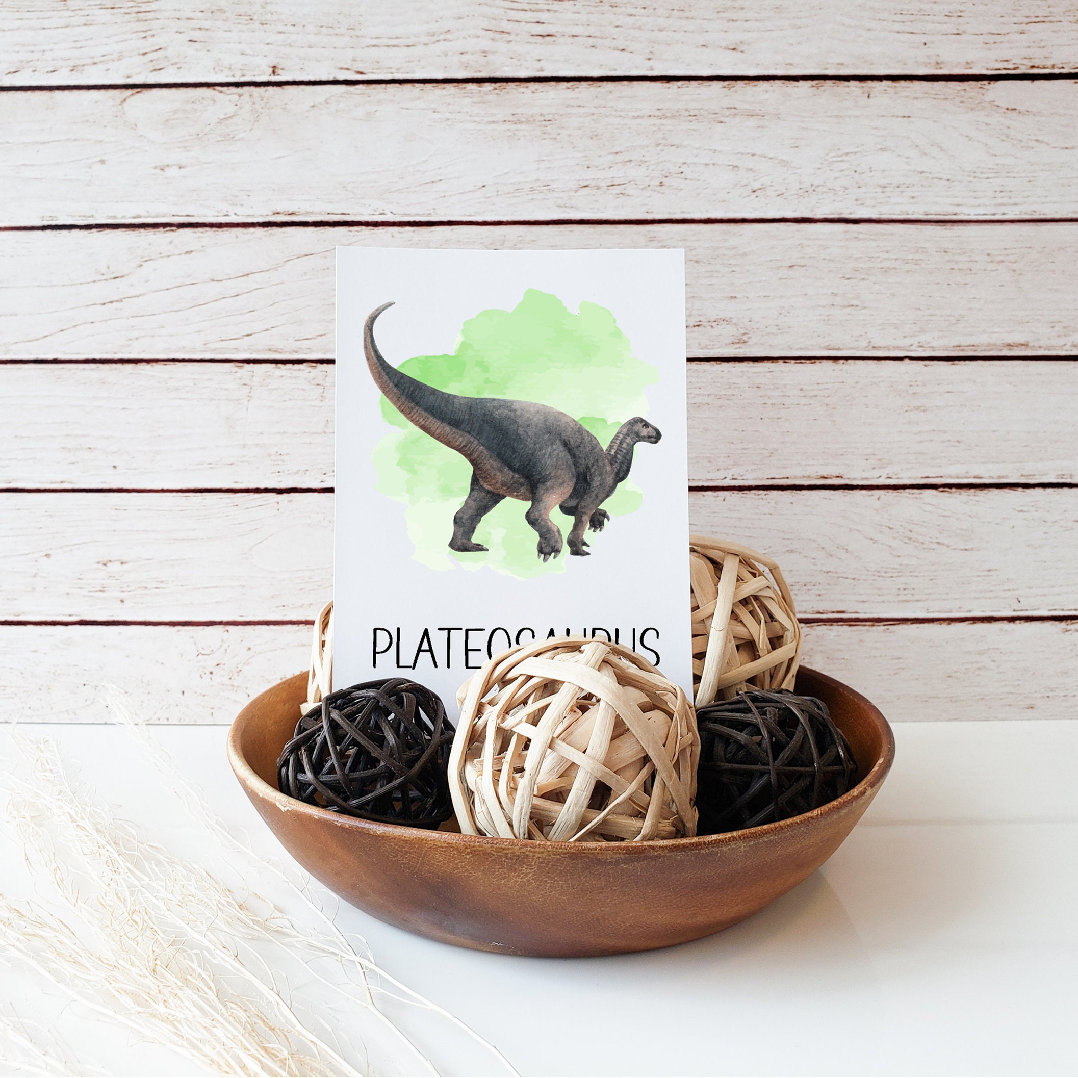 Dinosaur Flashcards Preschool Printables, Watercolor Montessori Cards ...
