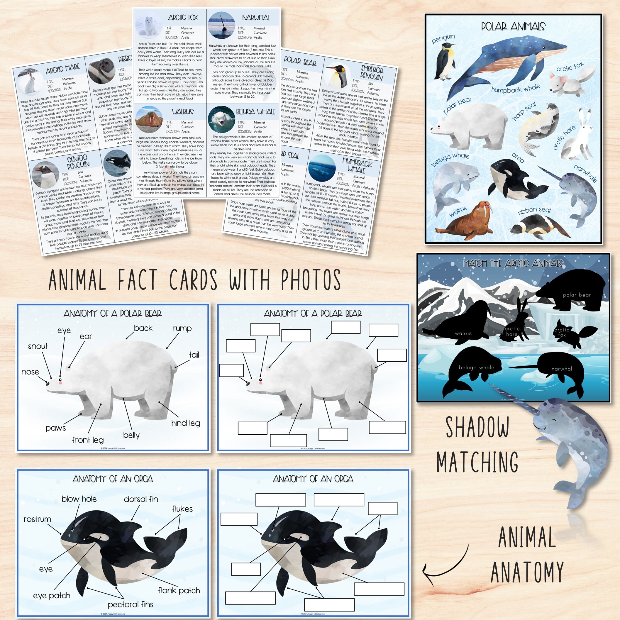 Polar Animal Learning Pack, Arctic Animals Unit Study, Winter Penguin ...