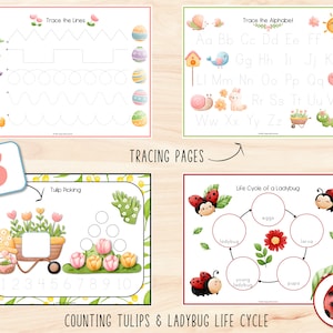 Spring Busy Book Printable, Homeschool Busy Book for Kids, Seasons ...