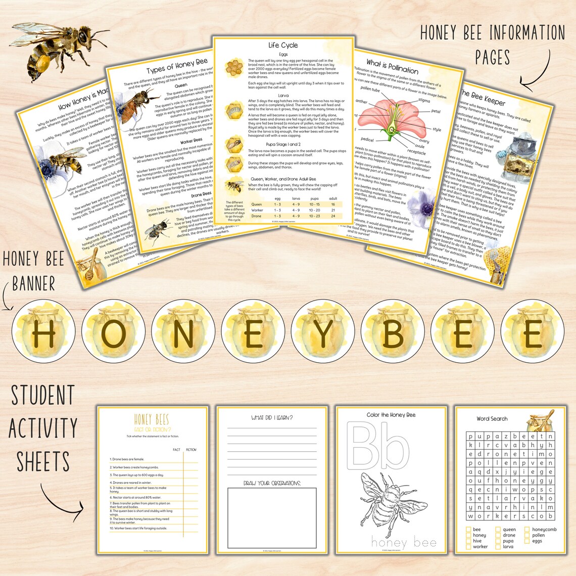Honey Bee Unit Study Bundle, Bee Life Cycle & Anatomy, Charlotte Mason ...