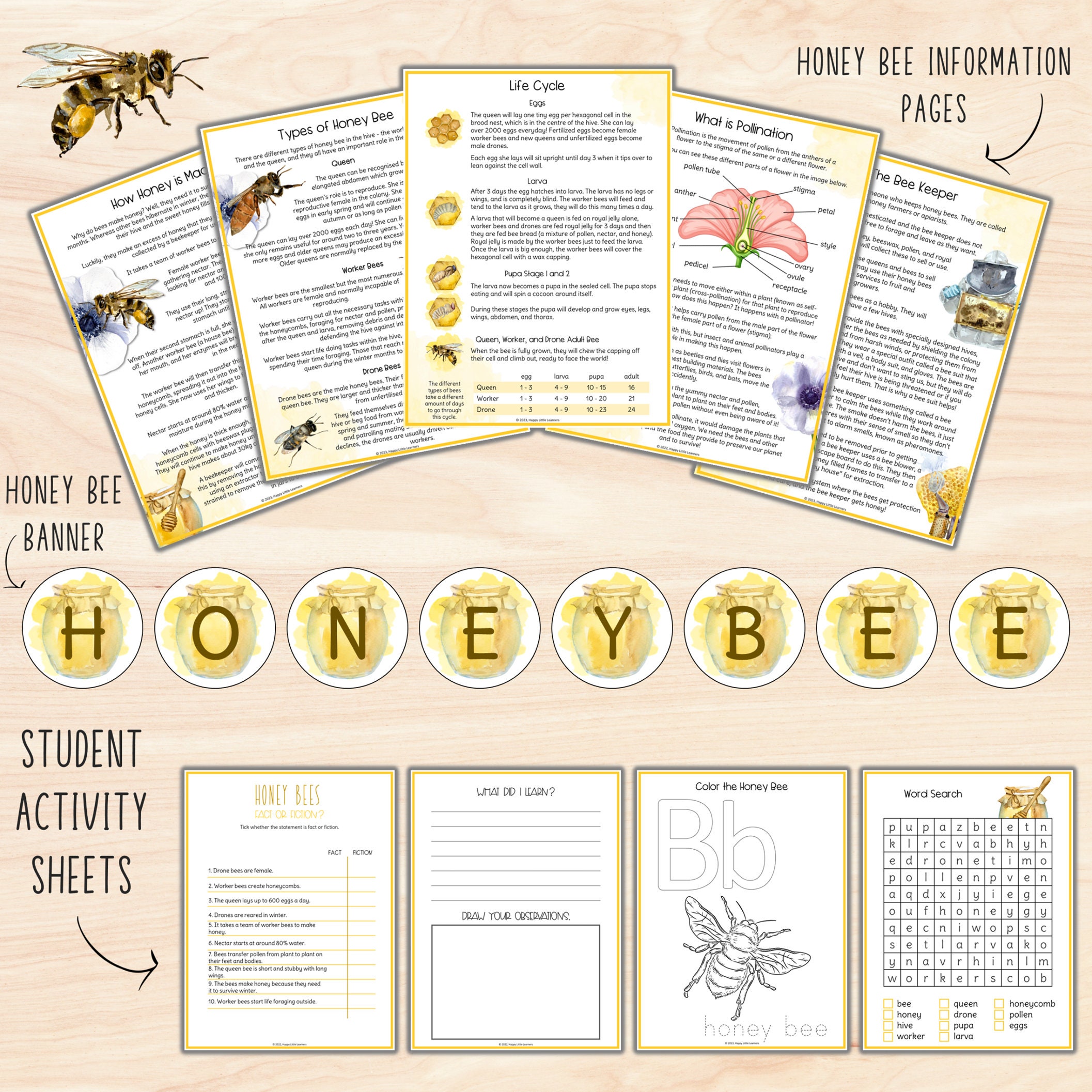 Honey Bee Unit Study Bundle, Bee Life Cycle & Anatomy, Charlotte Mason ...