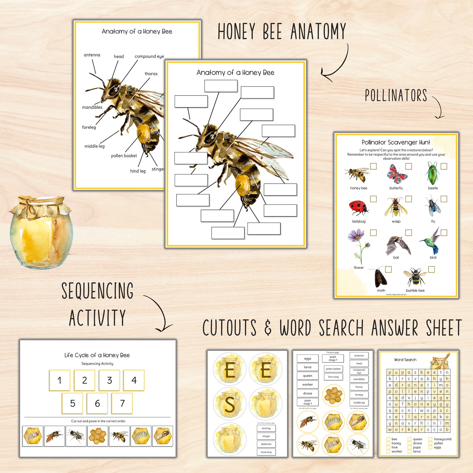 Honey Bee Unit Study Bundle, Bee Life Cycle & Anatomy, Charlotte Mason ...