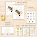 Honey Bee Unit Study Bundle, Bee Life Cycle & Anatomy, Charlotte Mason ...