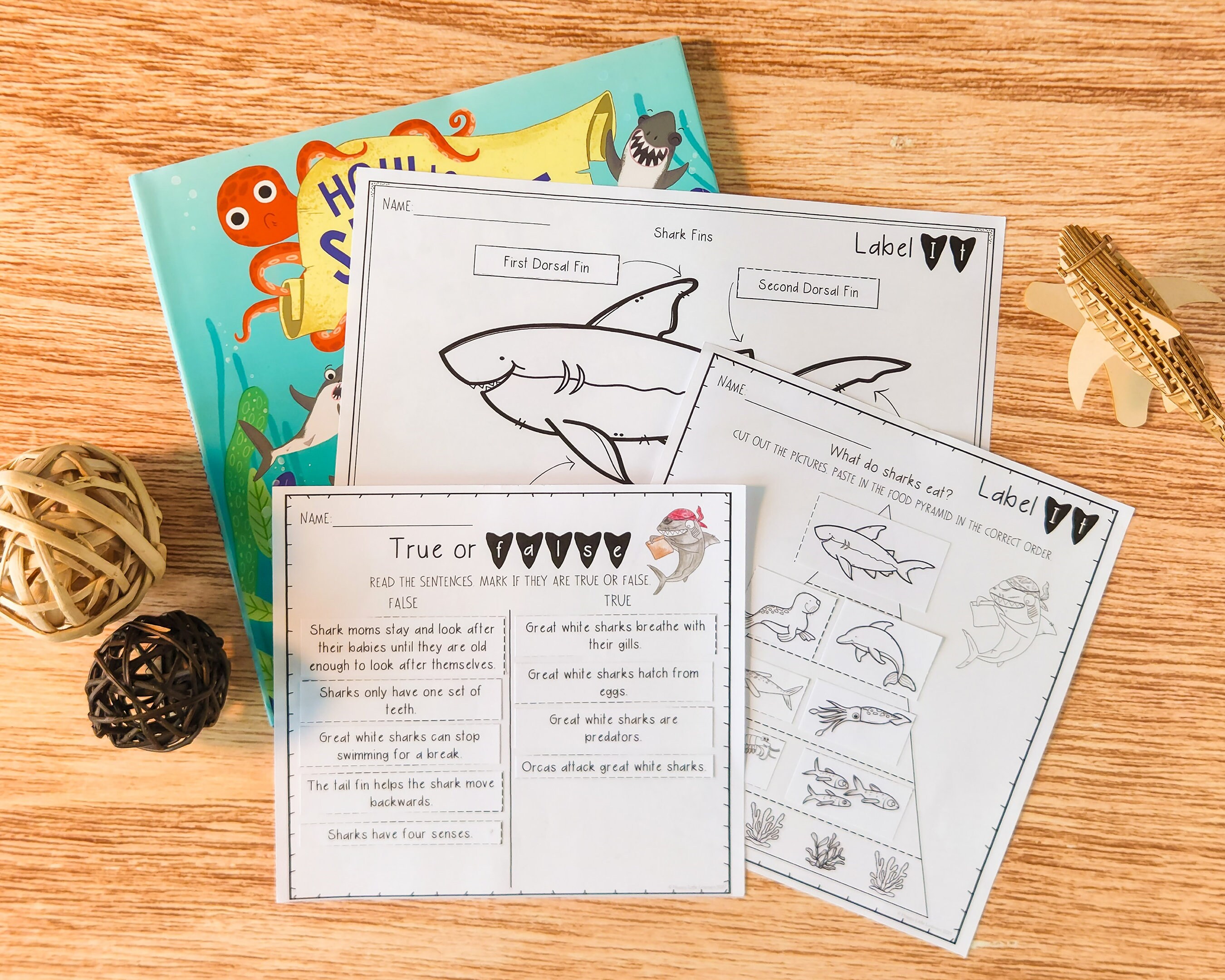 Printable Shark Unit, Shark Nature Study Pack, Learning About Sharks ...