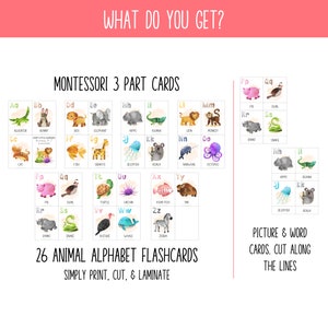 Animal Alphabet Flashcards Preschool Printables, Montessori ABC Toddler ...