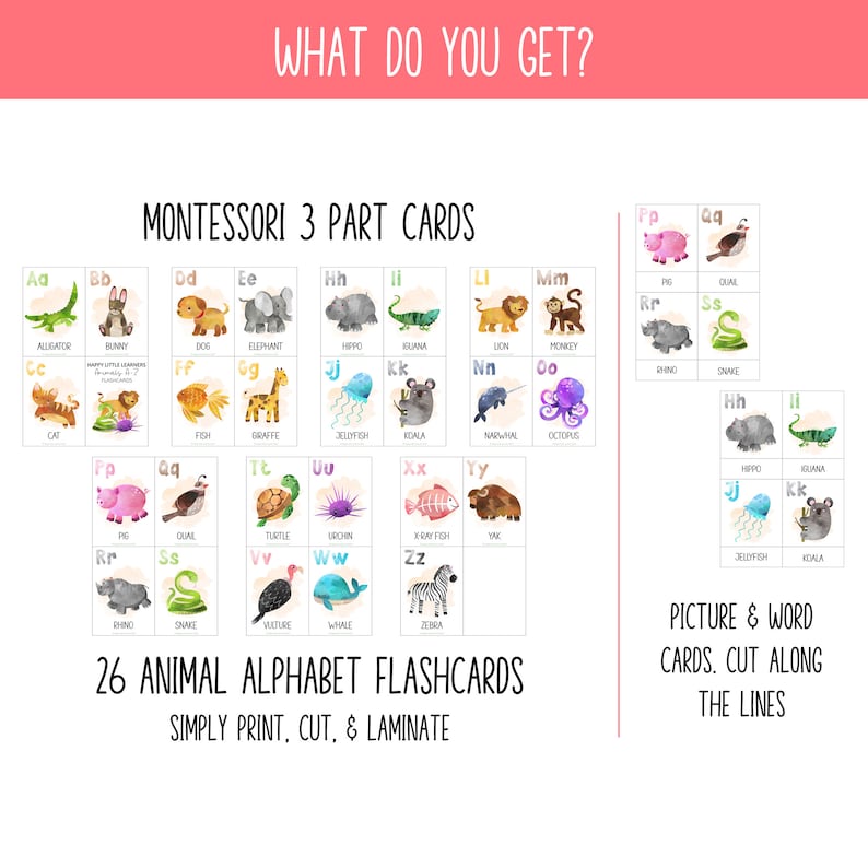 Animal Alphabet Flashcards Preschool Printables, Montessori ABC Toddler ...