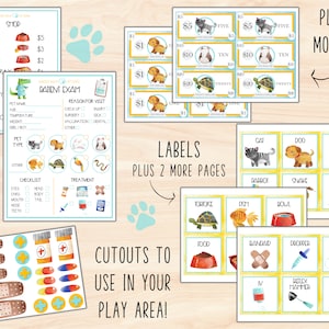 Vet Clinic Dramatic Play, Pretend Play Printable, Pet Play, Animal X ...