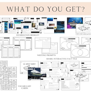 Printable Shark Unit, Shark Nature Study Pack, Learning About Sharks ...